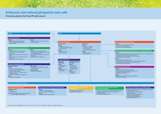 Stem Cell quick guide 2013 | PDF