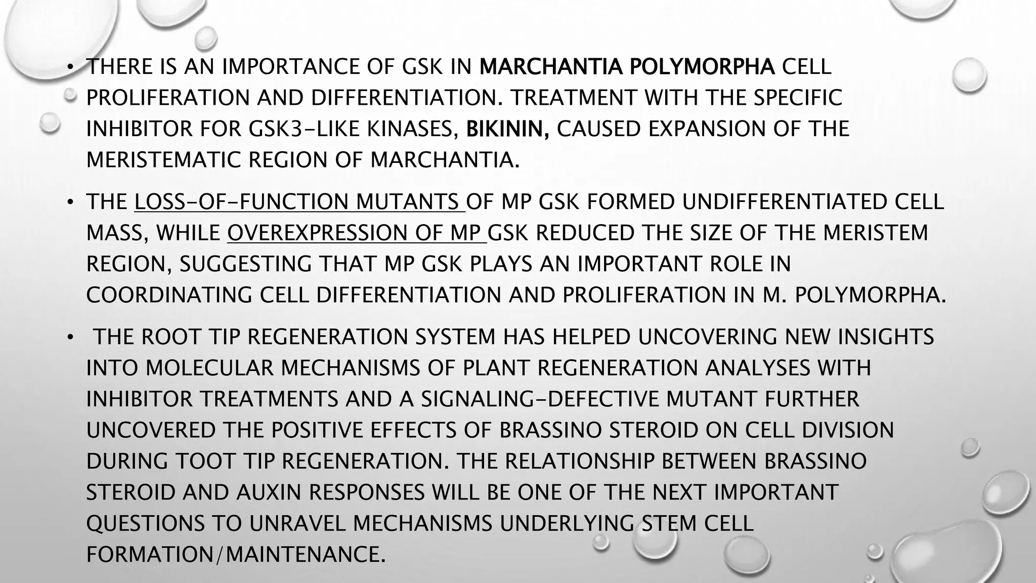 Stem cell reformation in plants (1).pptx