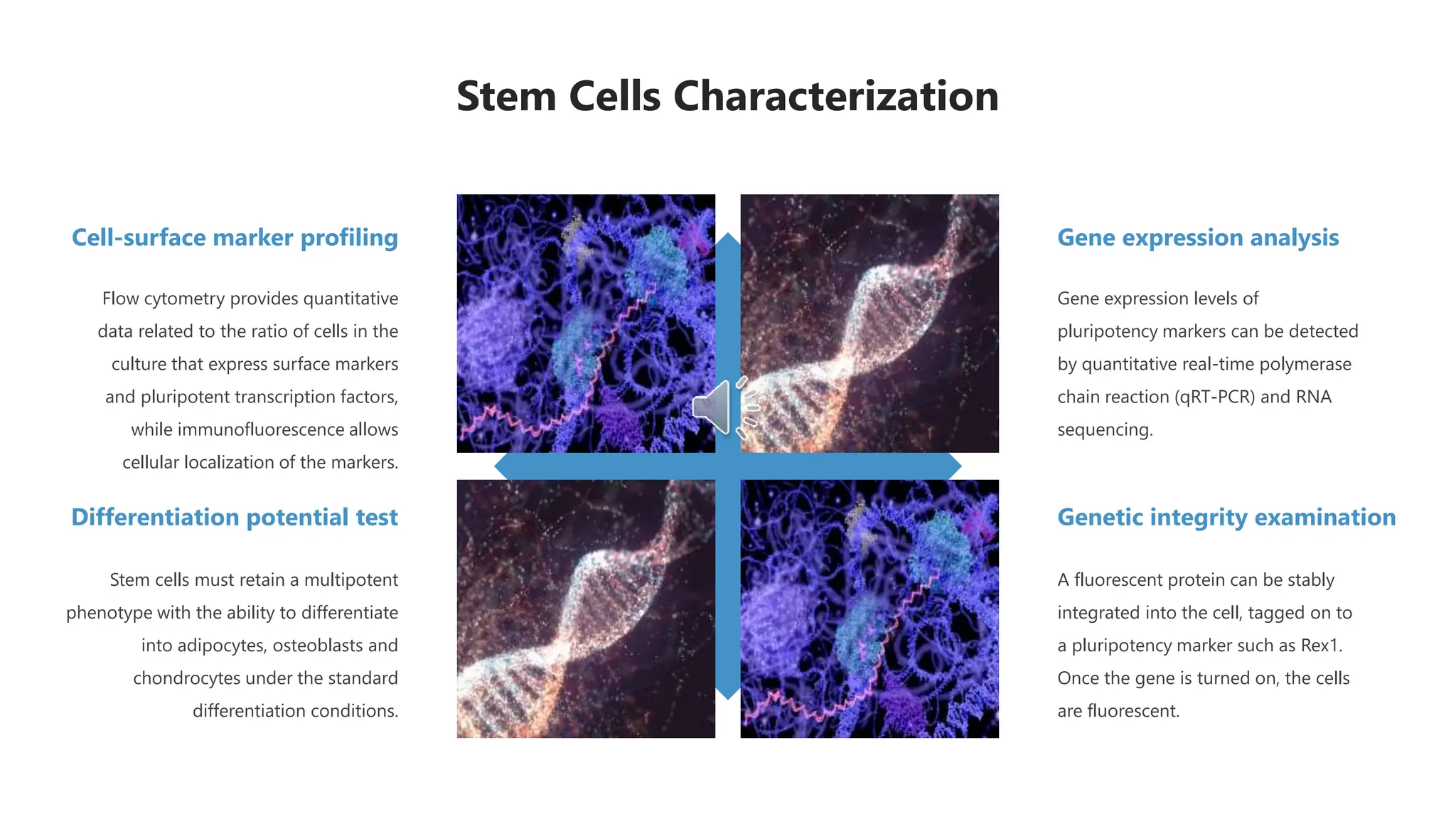 A Comprehensive Review of Stem Cell Research | PPTX | Biological ...