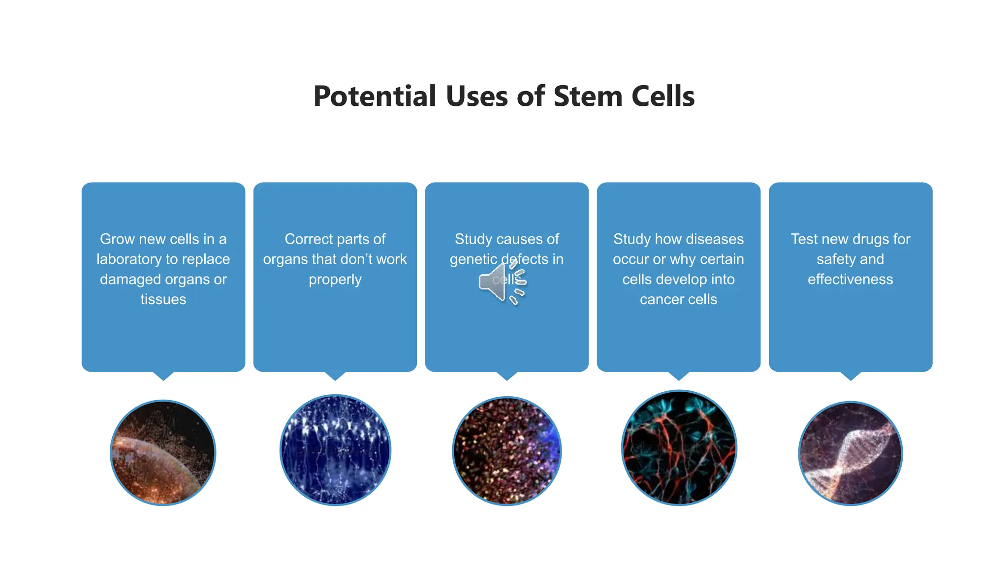 A Comprehensive Review of Stem Cell Research | PPTX | Biological ...