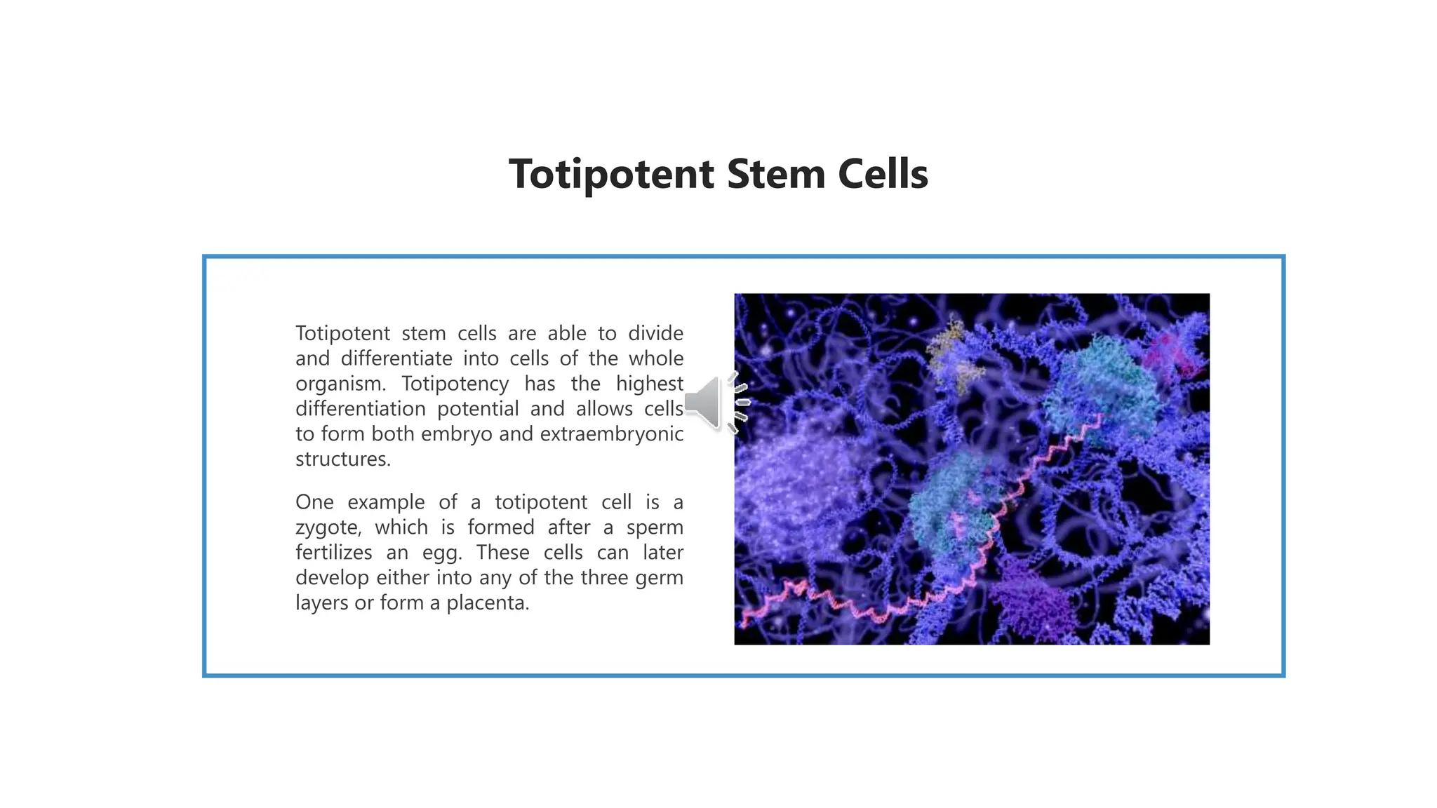 A Comprehensive Review of Stem Cell Research | PPTX | Biological ...