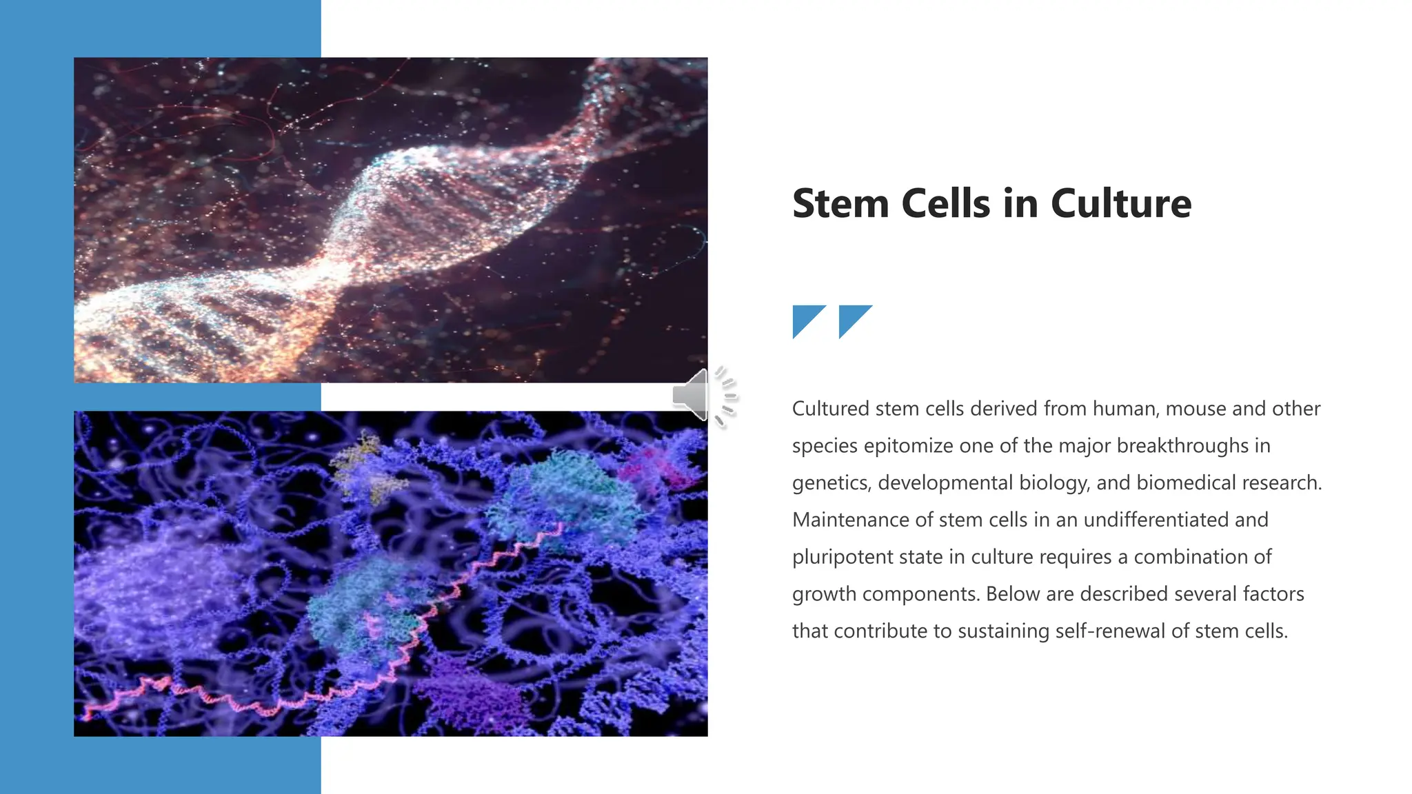 A Comprehensive Review of Stem Cell Research | PPTX | Biological ...