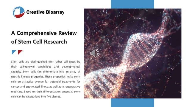 A Comprehensive Review of Stem Cell Research | PPT