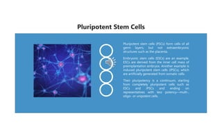A Comprehensive Review of Stem Cell Research | PPTX | Biological ...