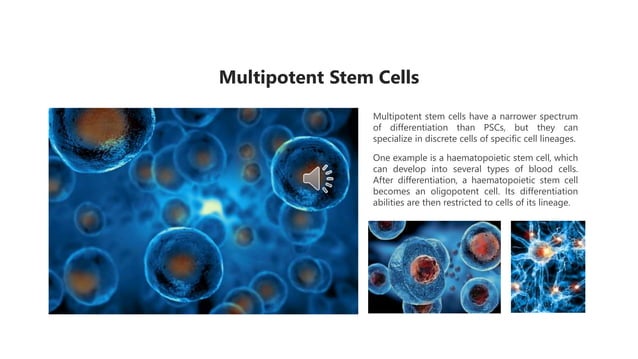 A Comprehensive Review of Stem Cell Research | PPT