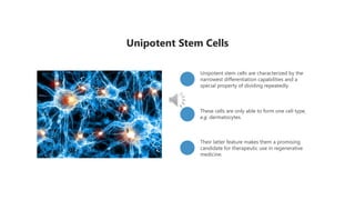A Comprehensive Review of Stem Cell Research | PPTX | Biological ...