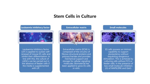 A Comprehensive Review of Stem Cell Research | PPT
