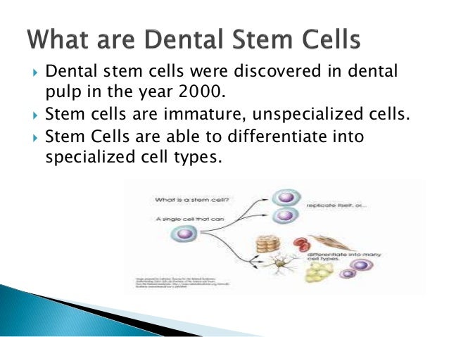 Stem cells