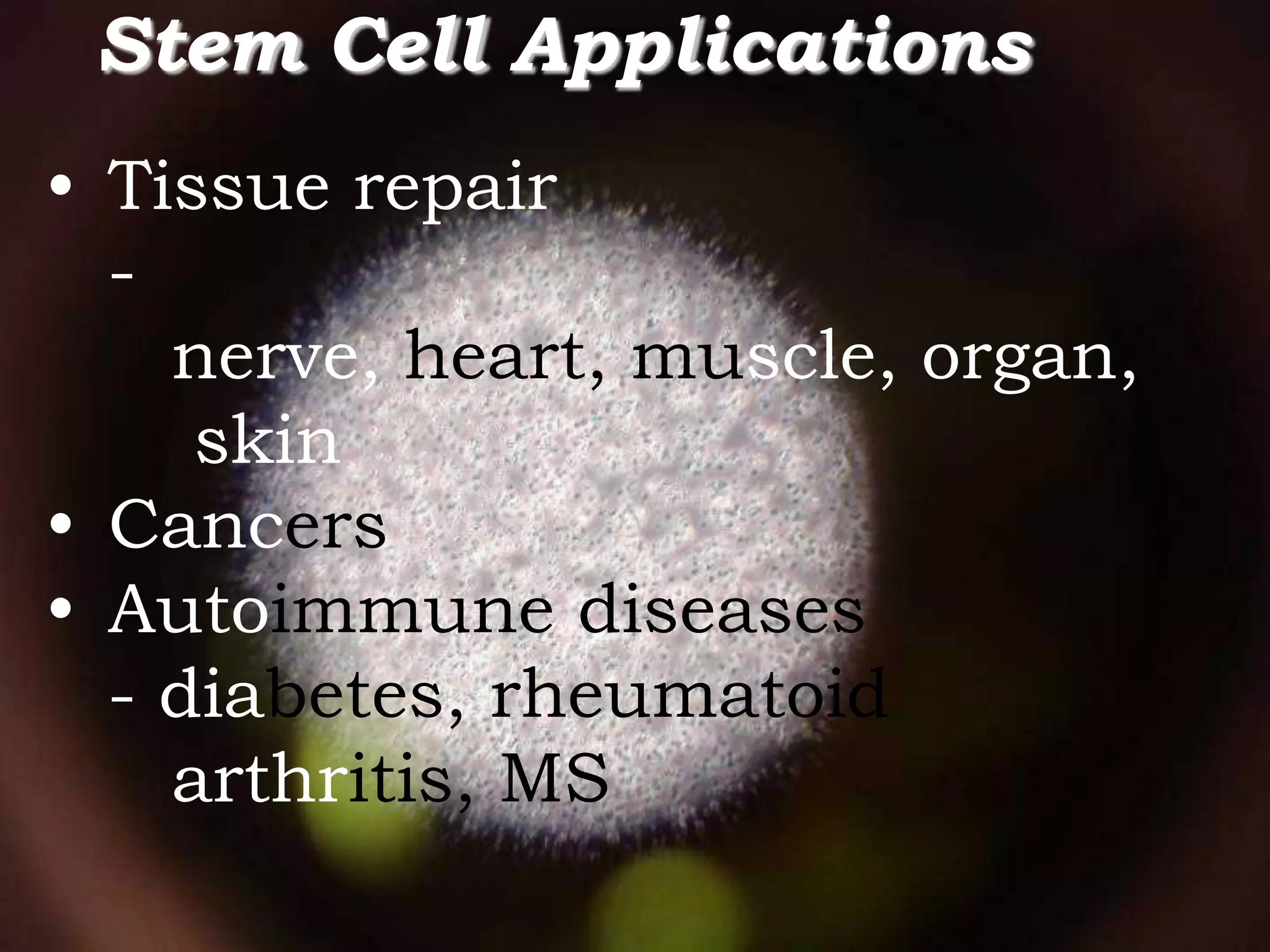 Stem cells | PPTX