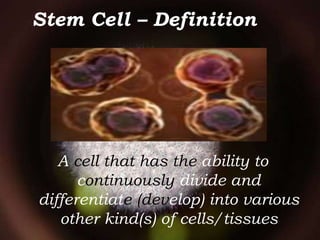 Stem cells | PPTX