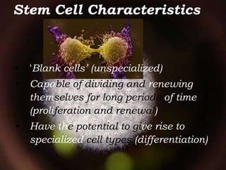 Stem cells | PPTX