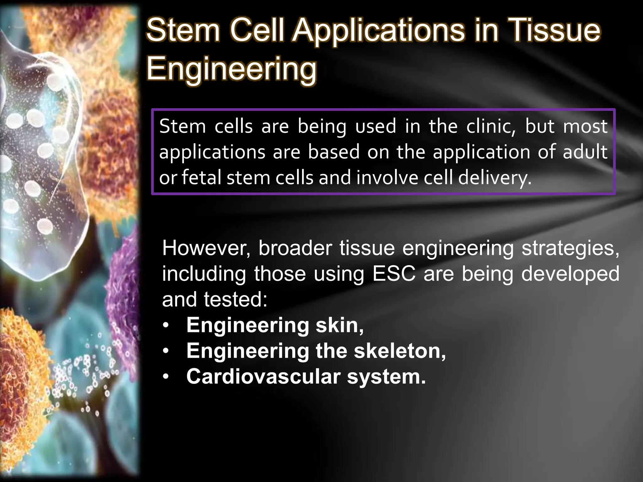 Stem Cells and Tissue Engineering: past, present and future | PPTX