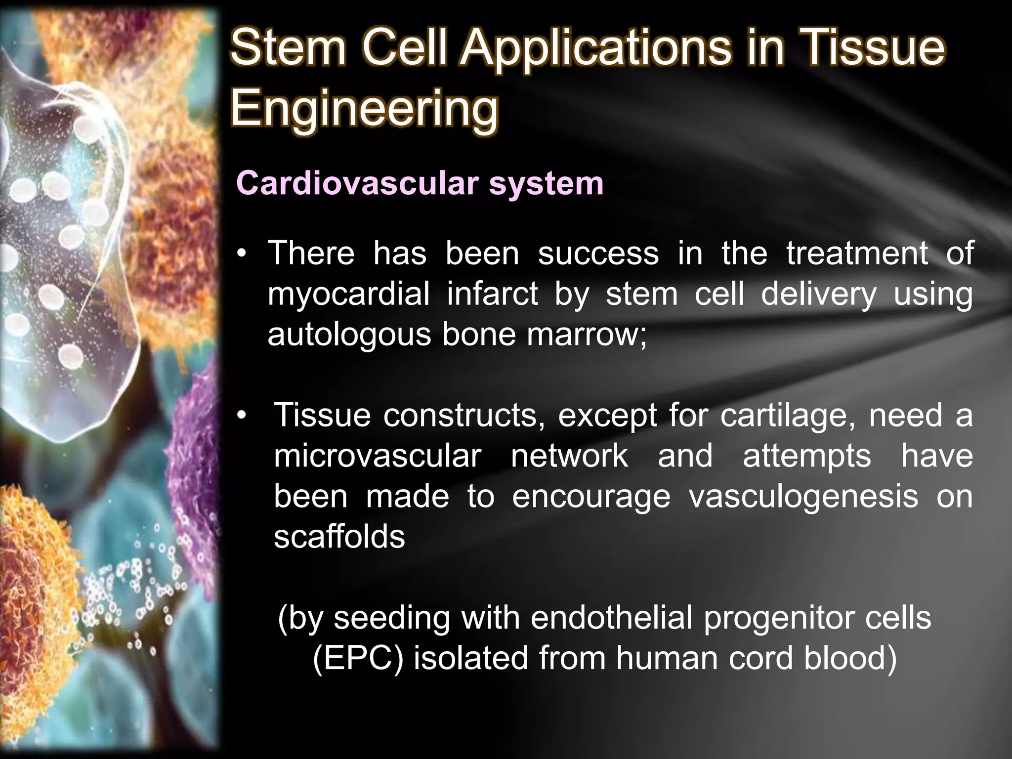 Stem Cells and Tissue Engineering: past, present and future | PPTX