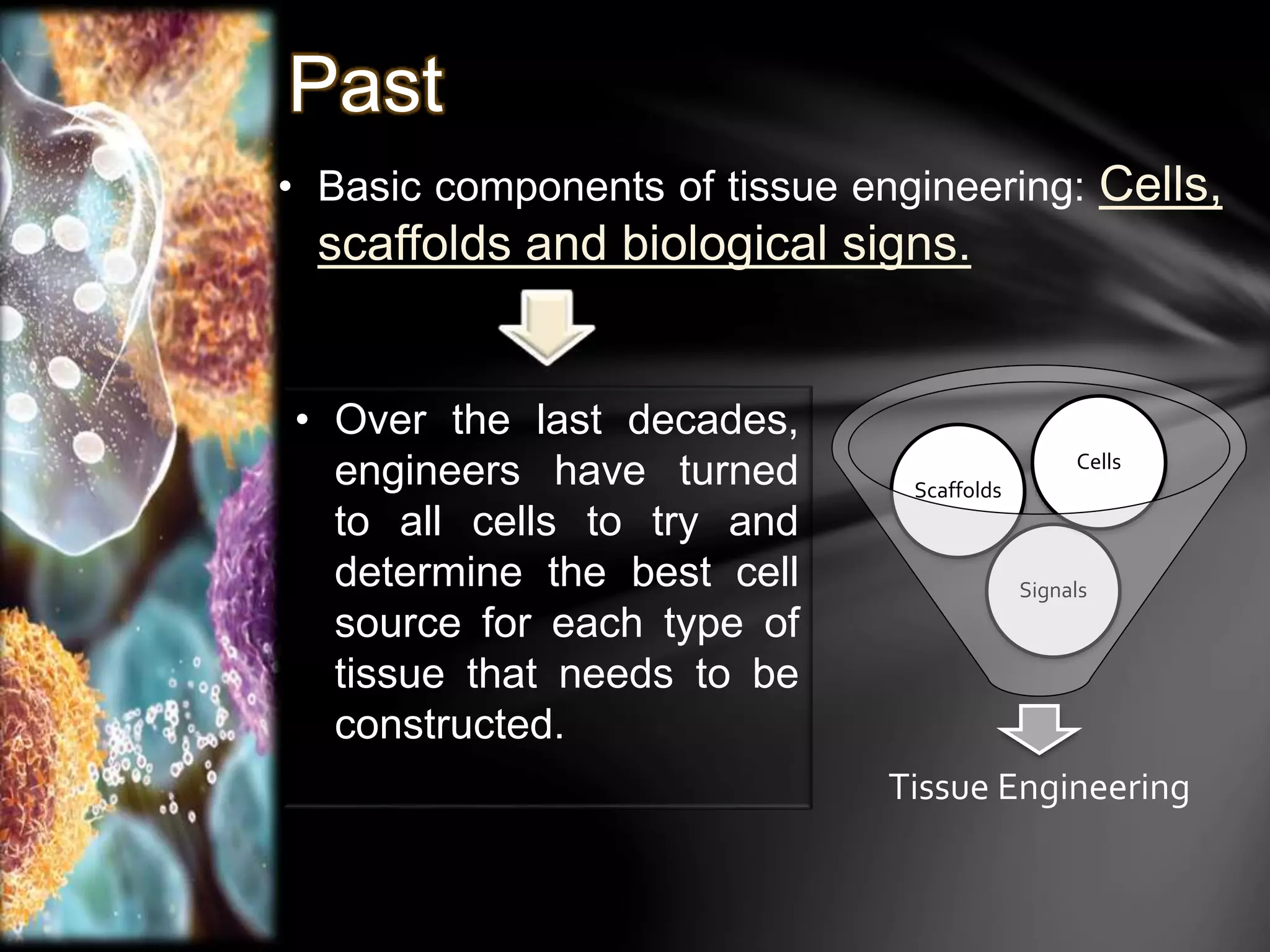 Stem Cells and Tissue Engineering: past, present and future | PPTX