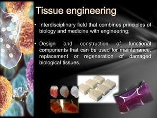 Stem Cells and Tissue Engineering: past, present and future | PPTX