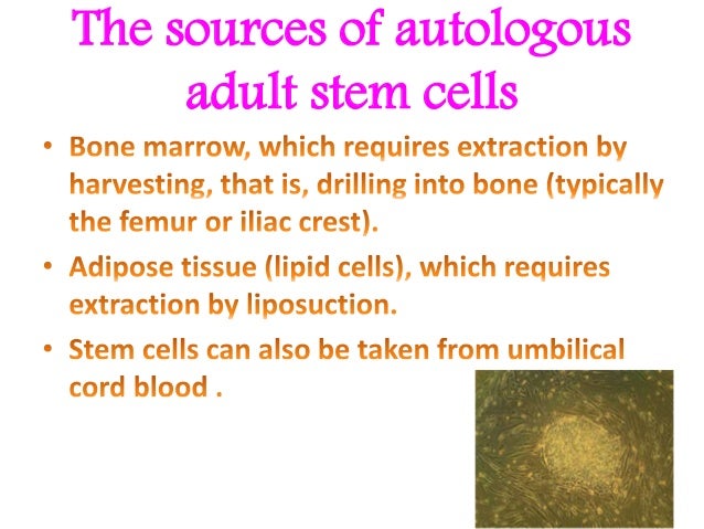 Stem cells basics