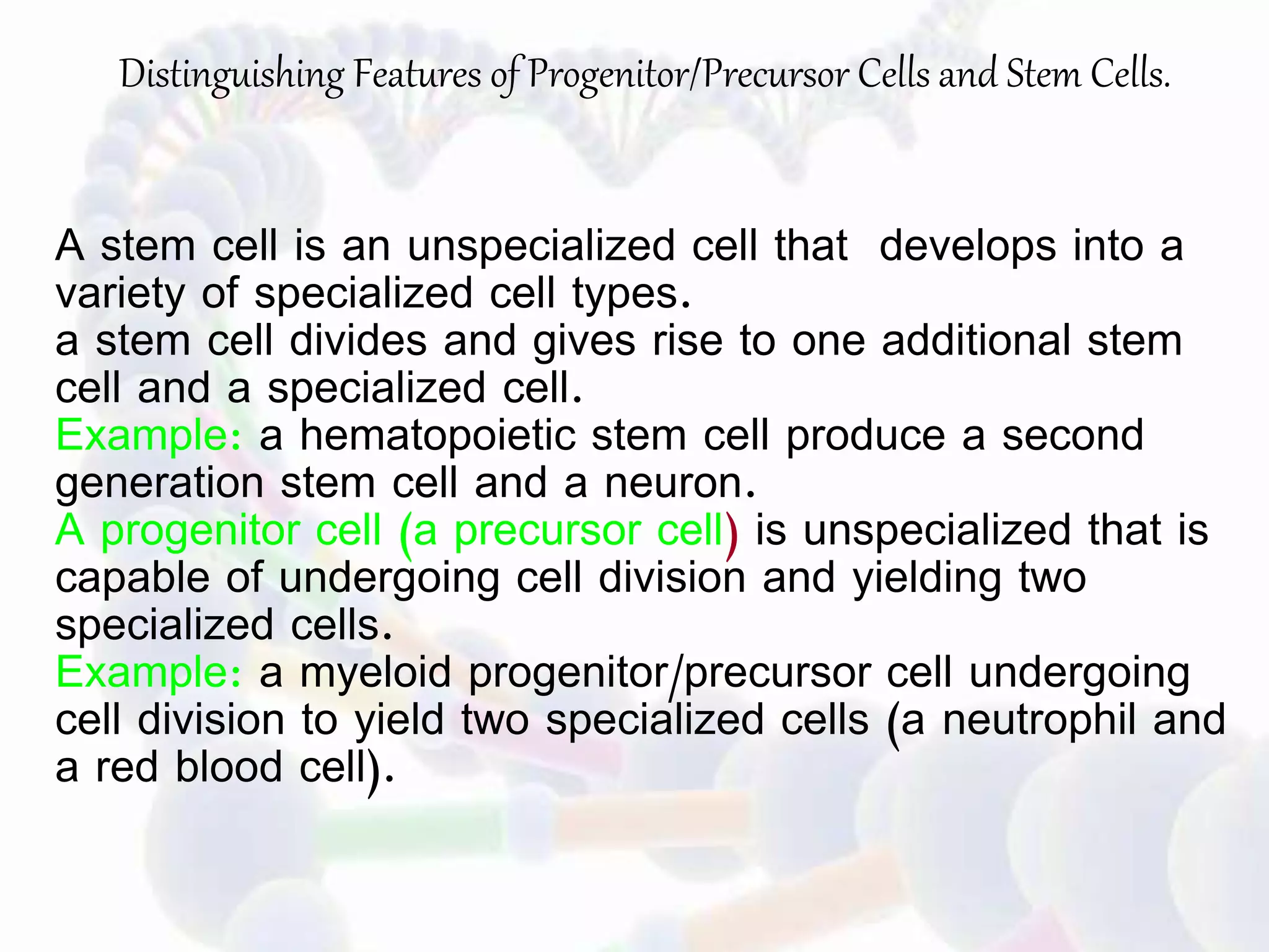 Stem cells | PPTX