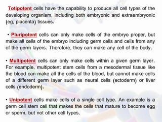 Stem cells | PPTX