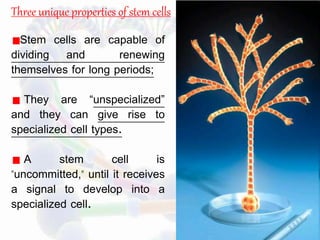 Stem cells | PPTX