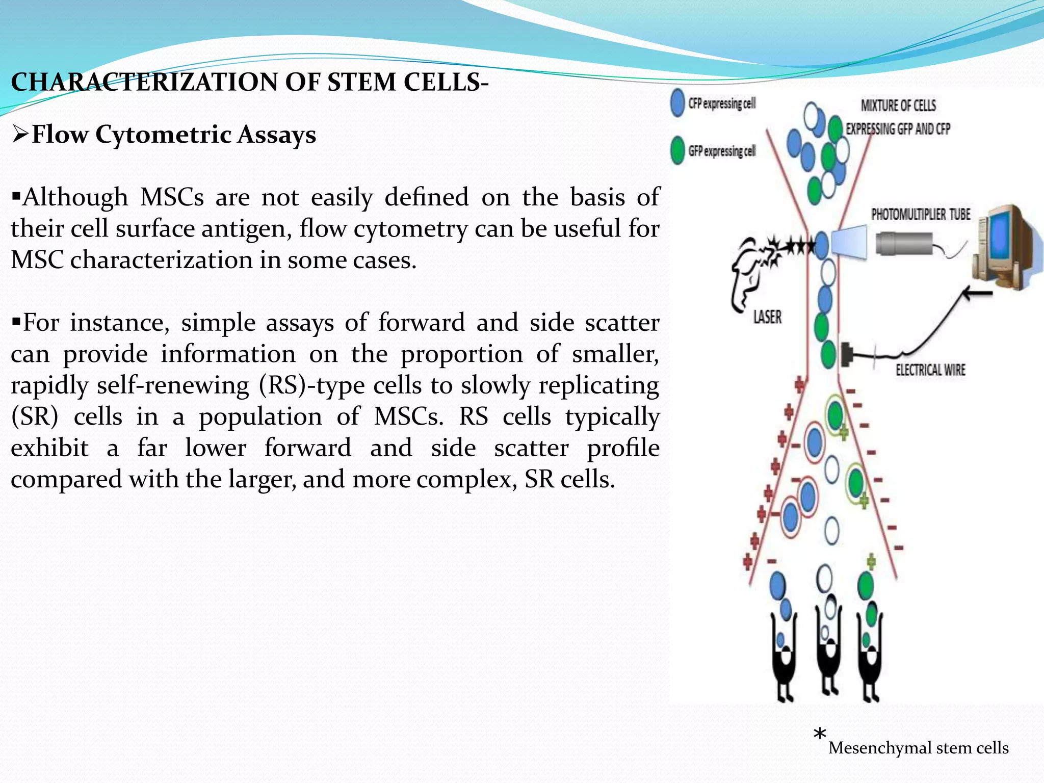 Stem cells | PPTX