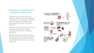 Stem cells #scichallenge2017 | PPT