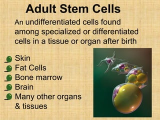 Stem cells | PPT | Biological Sciences | Science