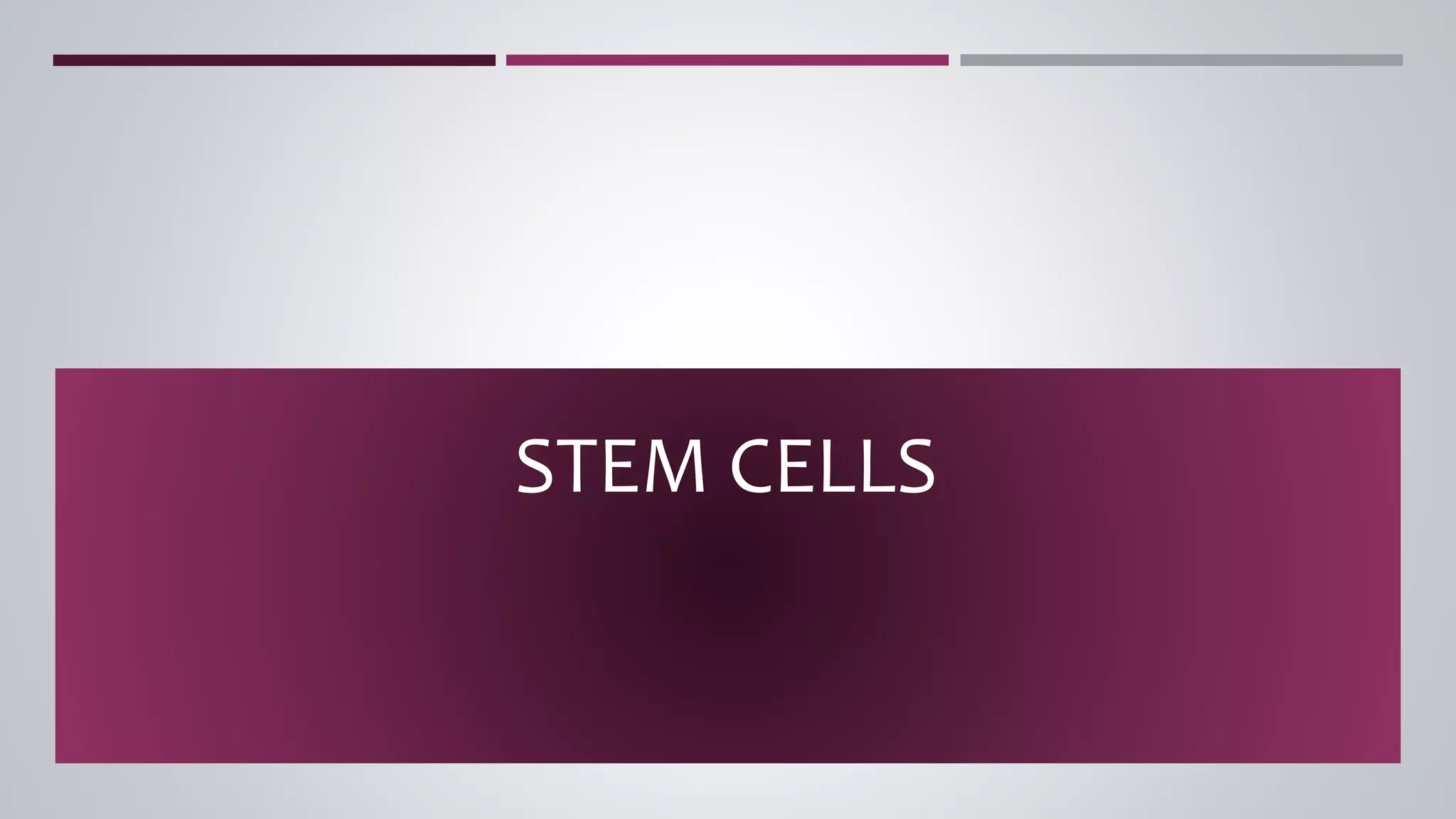 Stem cells | PPTX | Biological Sciences | Science