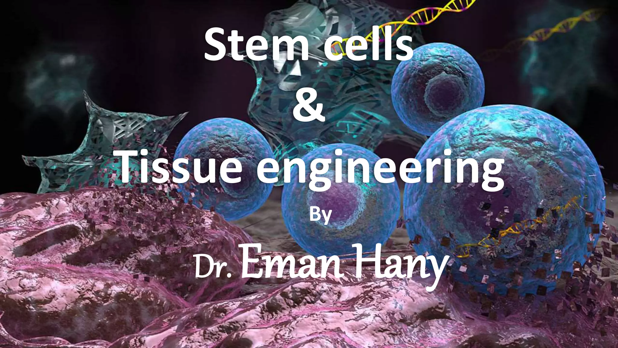 Stem cells | PPT