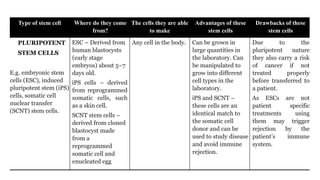 Stem Cells | PPTX