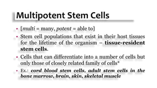 Stem Cells | PPTX