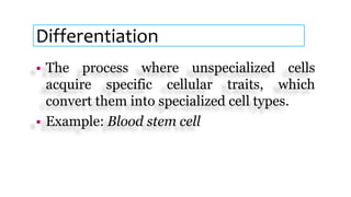 Stem Cells | PPTX