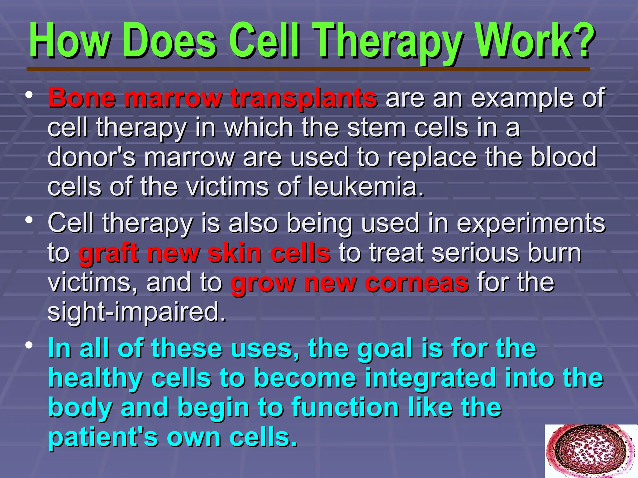 Stem cells-2.ppt for undergraduate students | PPT