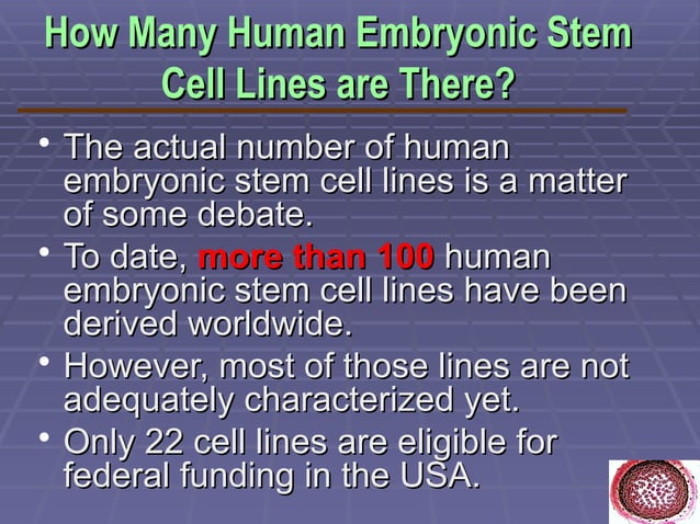 Stem cells-2.ppt for undergraduate students | PPT
