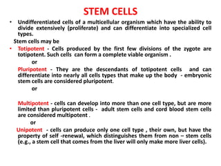 STEM CELLS SMG | PPT