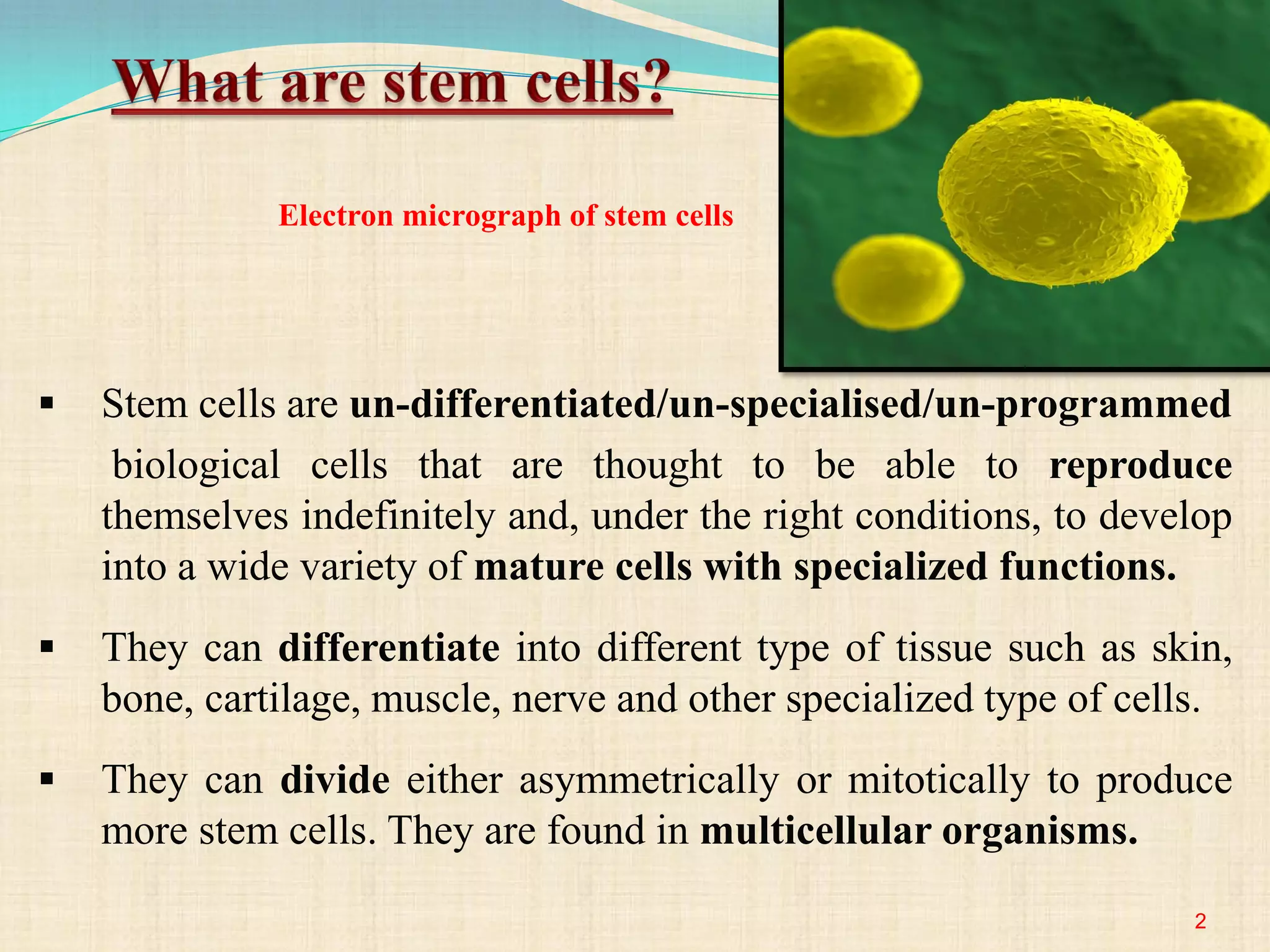 Stem Cell Technology and its Clinical Application | PDF