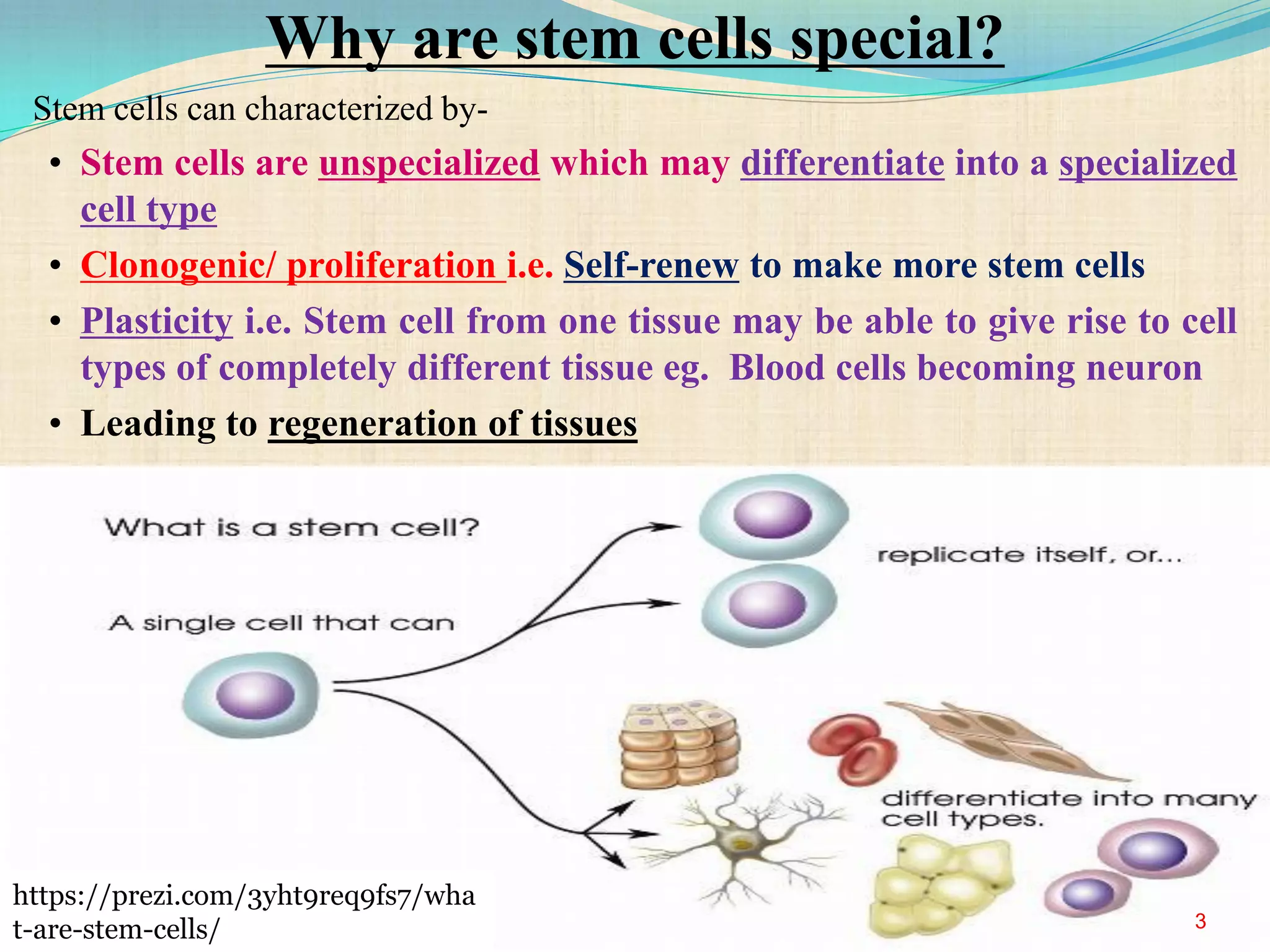 Stem Cell Technology And Its Clinical Application Pdf