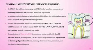 Stem cells | PPTX