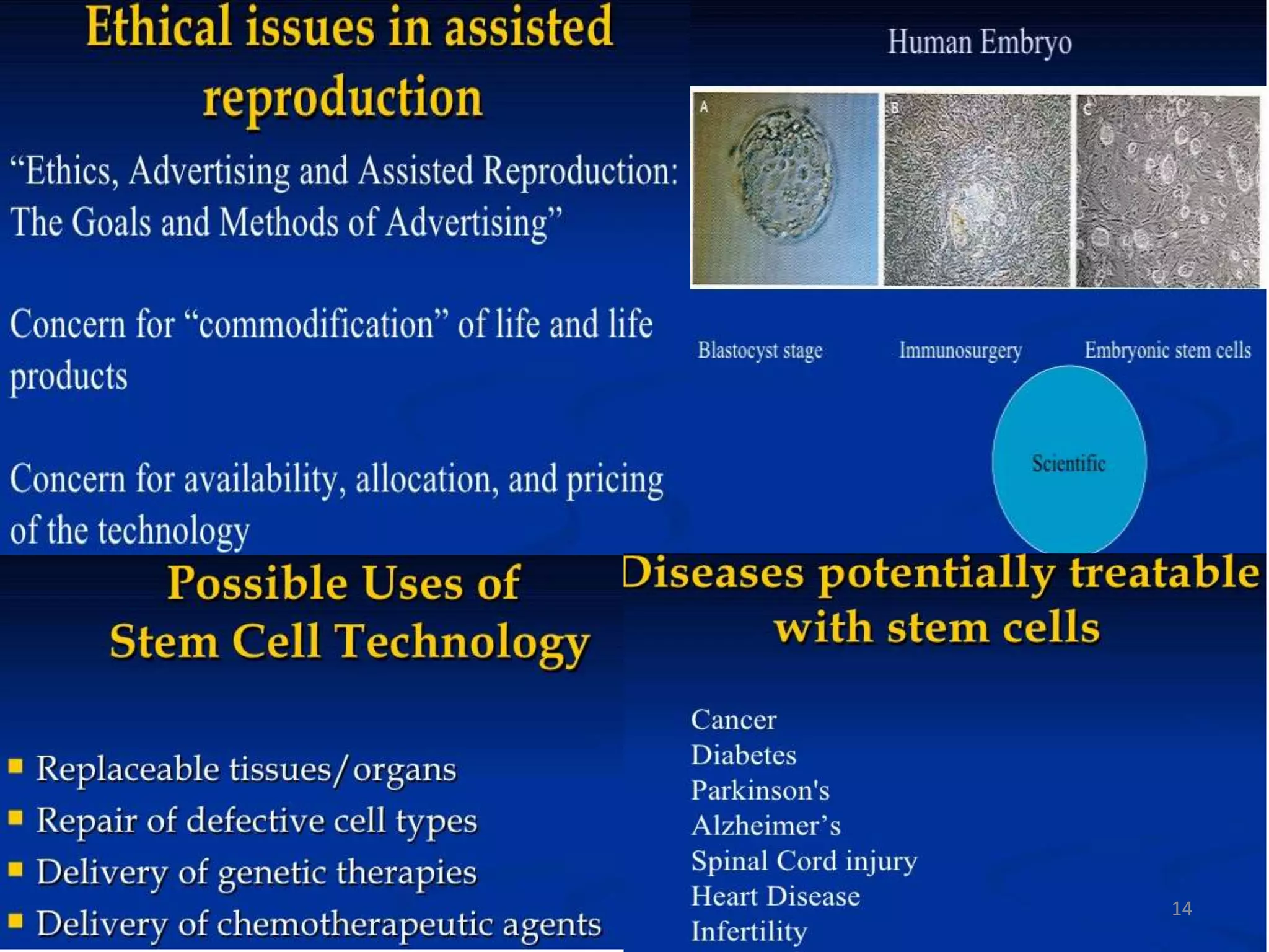 Stem cells (Biotechnology) | PPTX