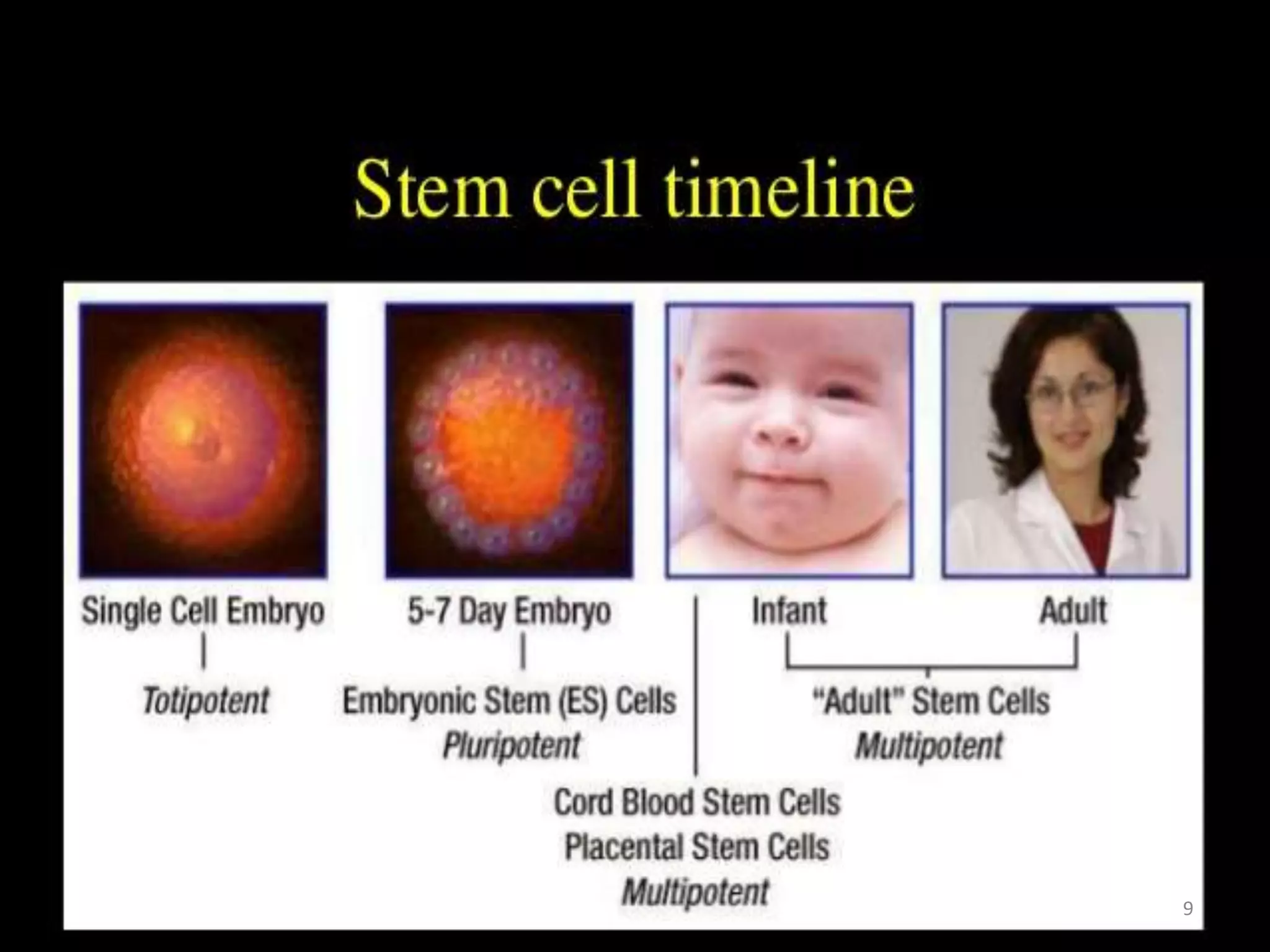Stem cells (Biotechnology) | PPTX