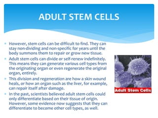 Stem Cells | PPTX