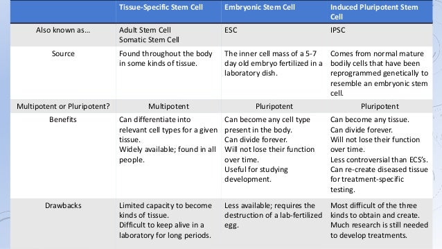 Advantages and disadvantages of embryonic stem cells - kaslboost