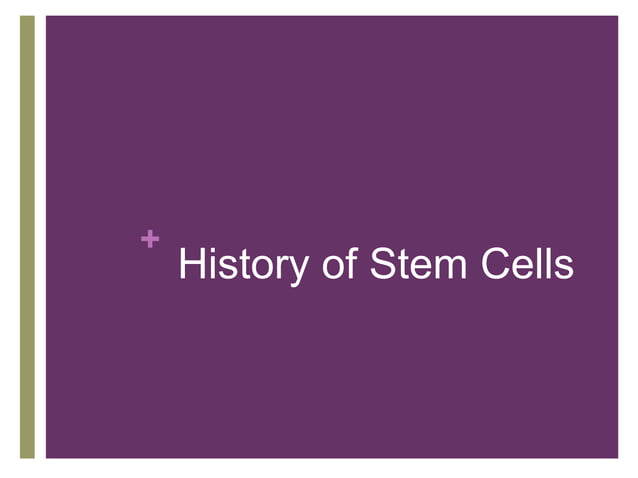 Stem Cells: The Basics | PPTX | Diabetes | Diseases and Conditions