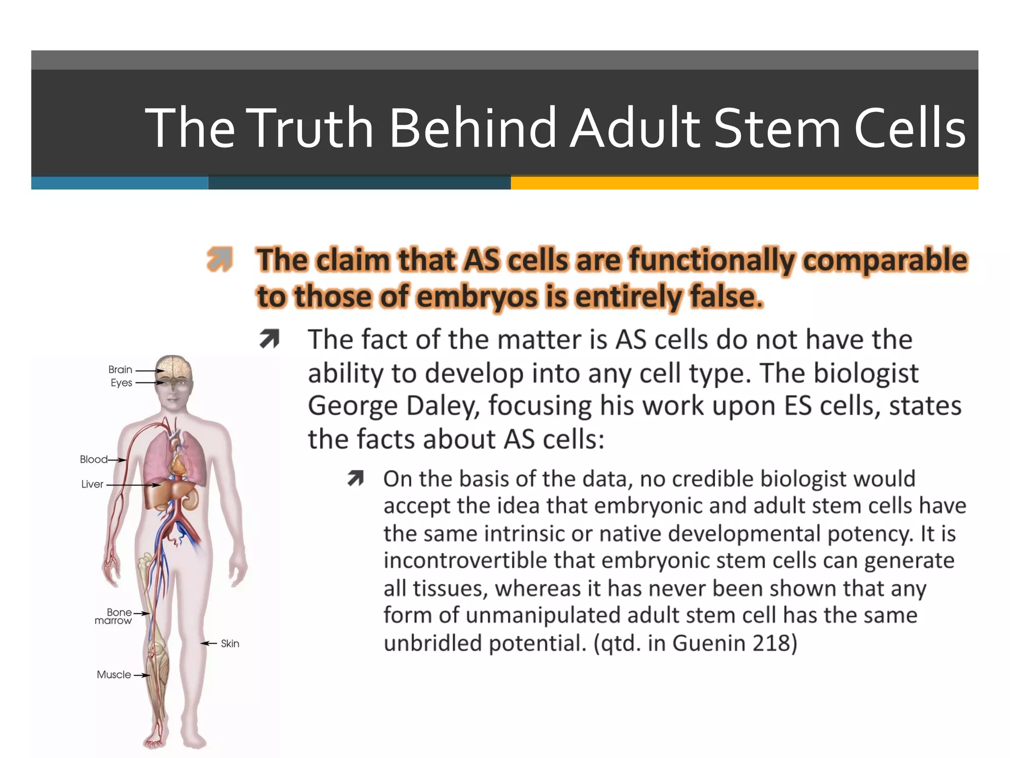 Stemcells2 | PPT