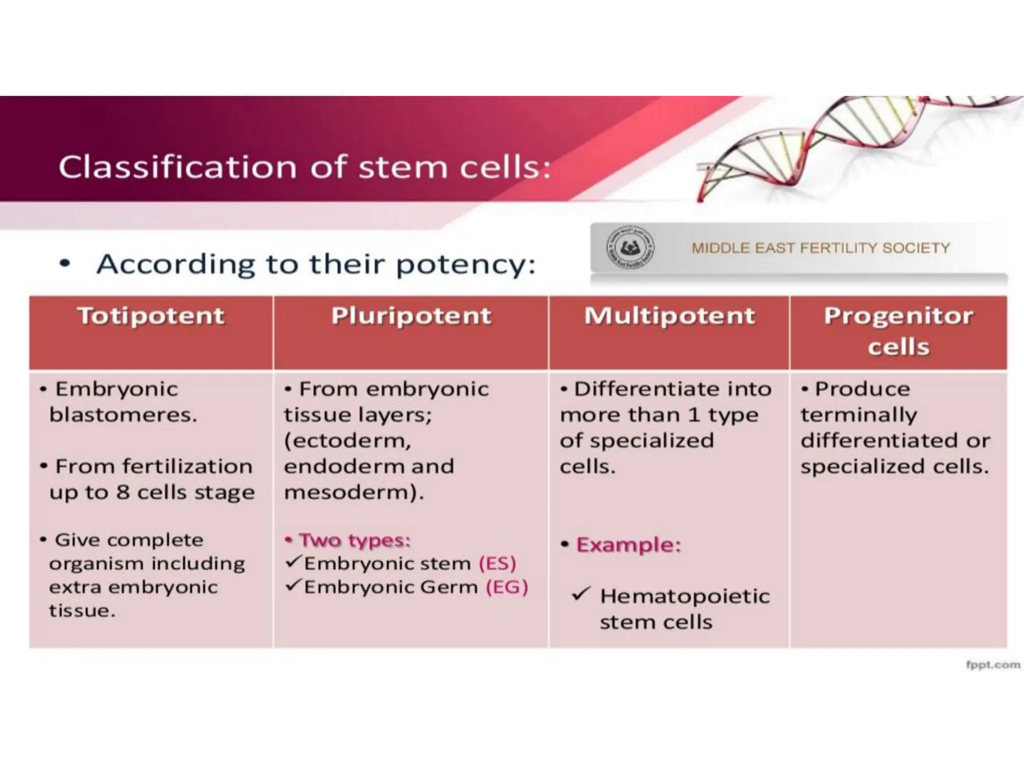 stem cells2.pptx
