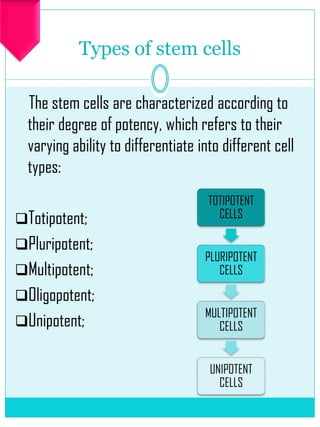 Stem cells | PDF