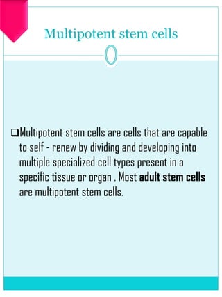 Stem cells | PDF