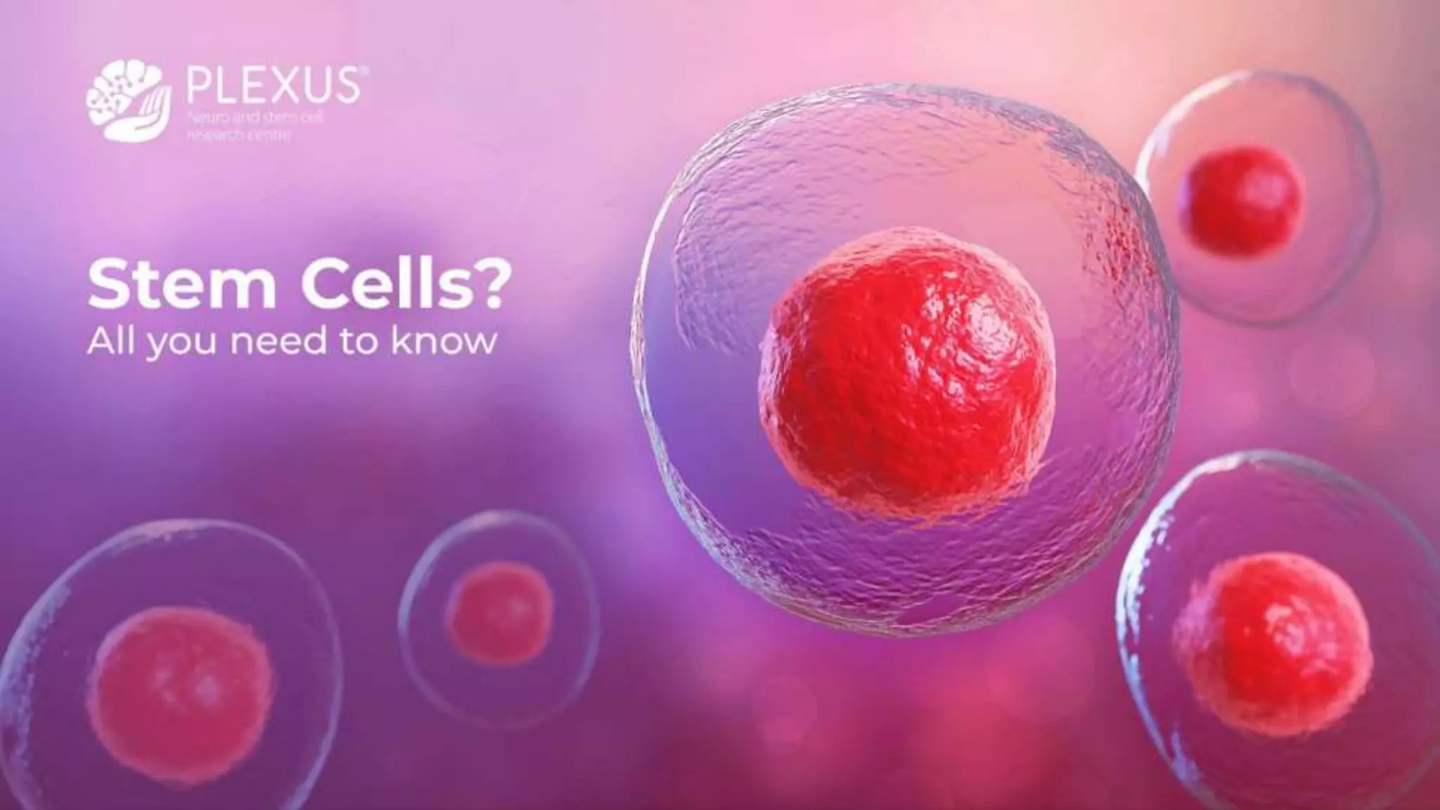Stem Cells: All you need to know | PPT