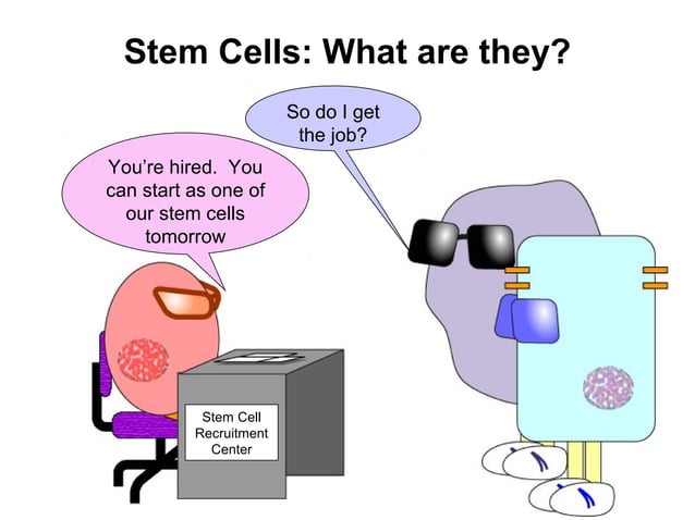 Stem cells and_cancer_ppt | PPT