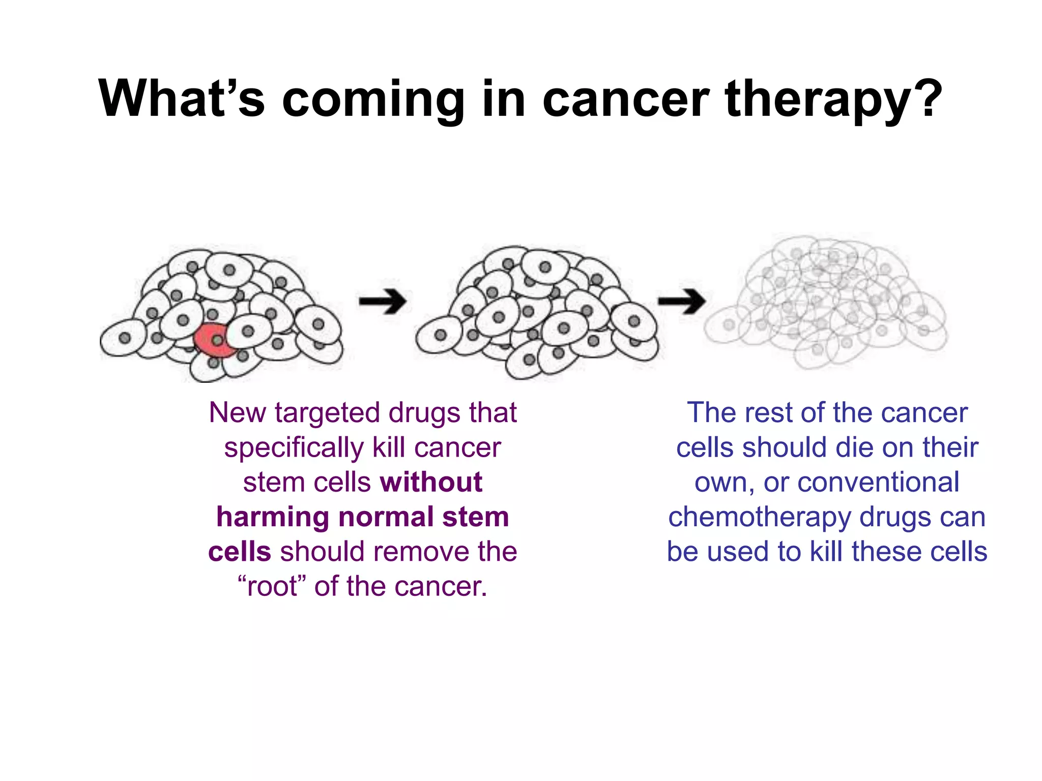 Stem_Cells_and_Cancer_PPT.ppt
