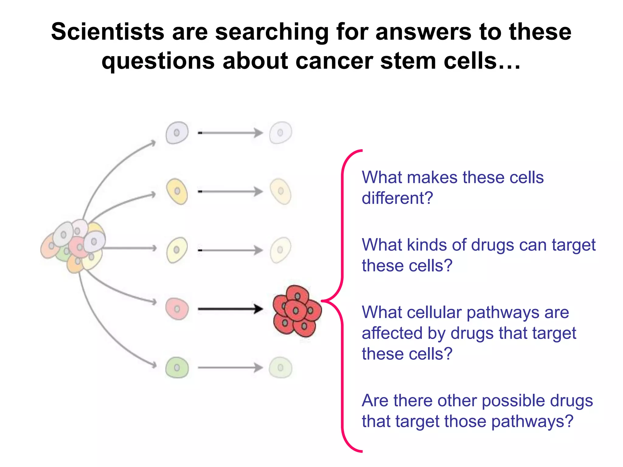 Stem_Cells_and_Cancer_PPT.ppt